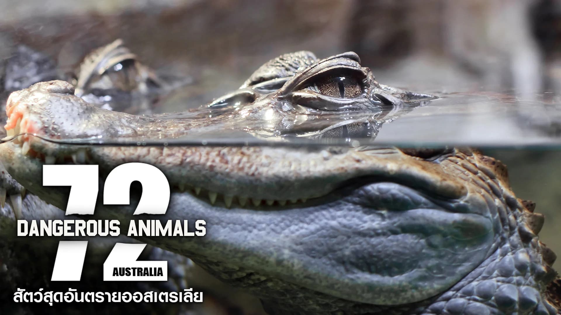 72 Dangerous Animals: Australia - Watch Series Online